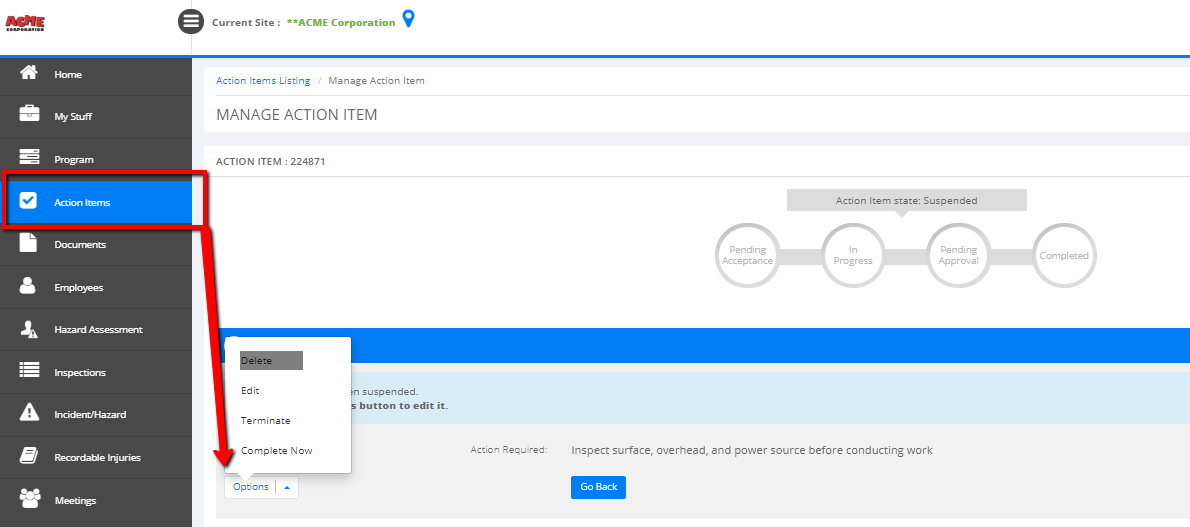 How Do I Delete An Action Item On The Web App Support 